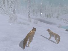 Shiping people pt 1 Episode 11 Weirdo_kiddo x master frown - ibisPaint