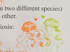 OC STUFF?? merp 6 fayea - ibisPaint