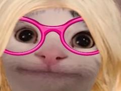 ASK MEEEEEEEEEE!!! - ibisPaint