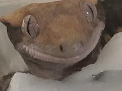 More randomness Episode 4 Manga recommendations - ibisPaint