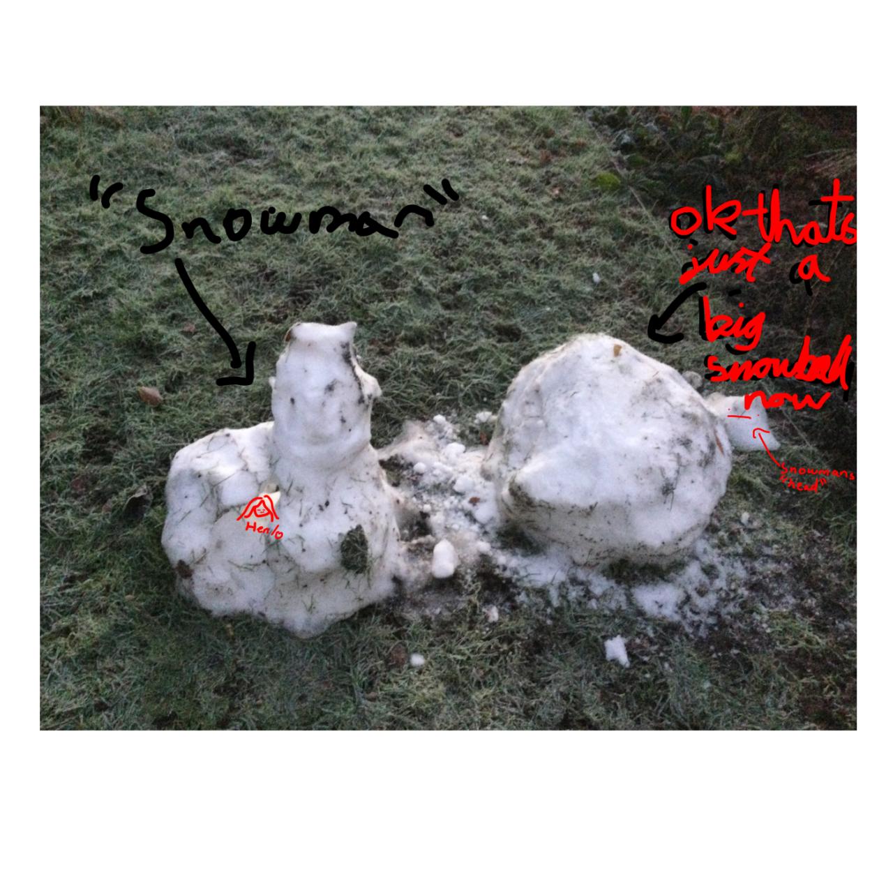 Cat rain (randomness) RaNdOm StUfFs 6 The remains of da snowmen ...