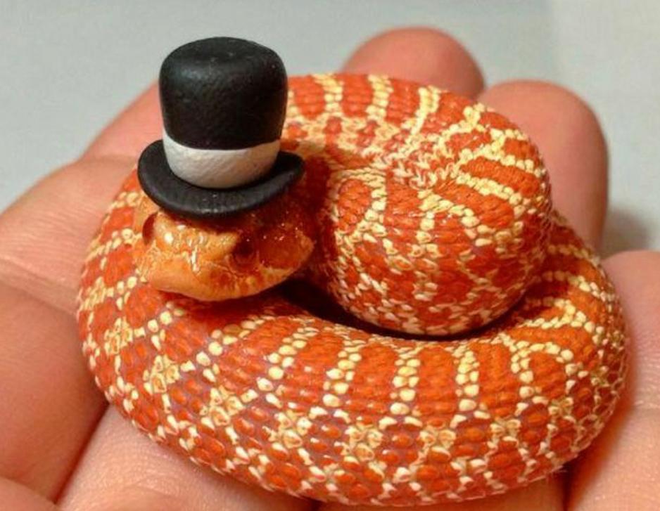 YOU FUCKING BASTARD 🗣️🗣️🔥🔥 Shot myself 4 Times Hehhee - ibisPaint