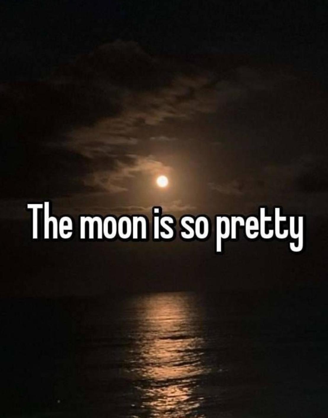 ASK TSAMS Episode 39 Moon stuff (NOT TSAMS) - ibisPaint