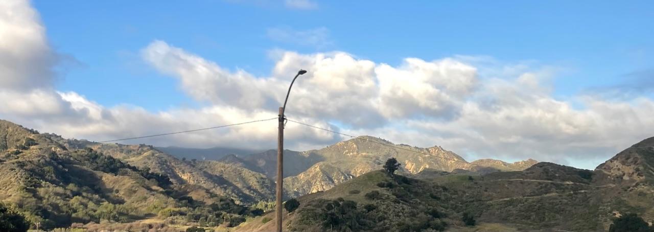 SKARO GOOFINESS Hypnotized 340 ppl DYING - ibisPaint