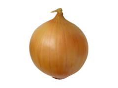 Onion (🇧🇷) - ibisPaint