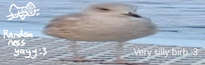 Ramdom stuff- - ibisPaint