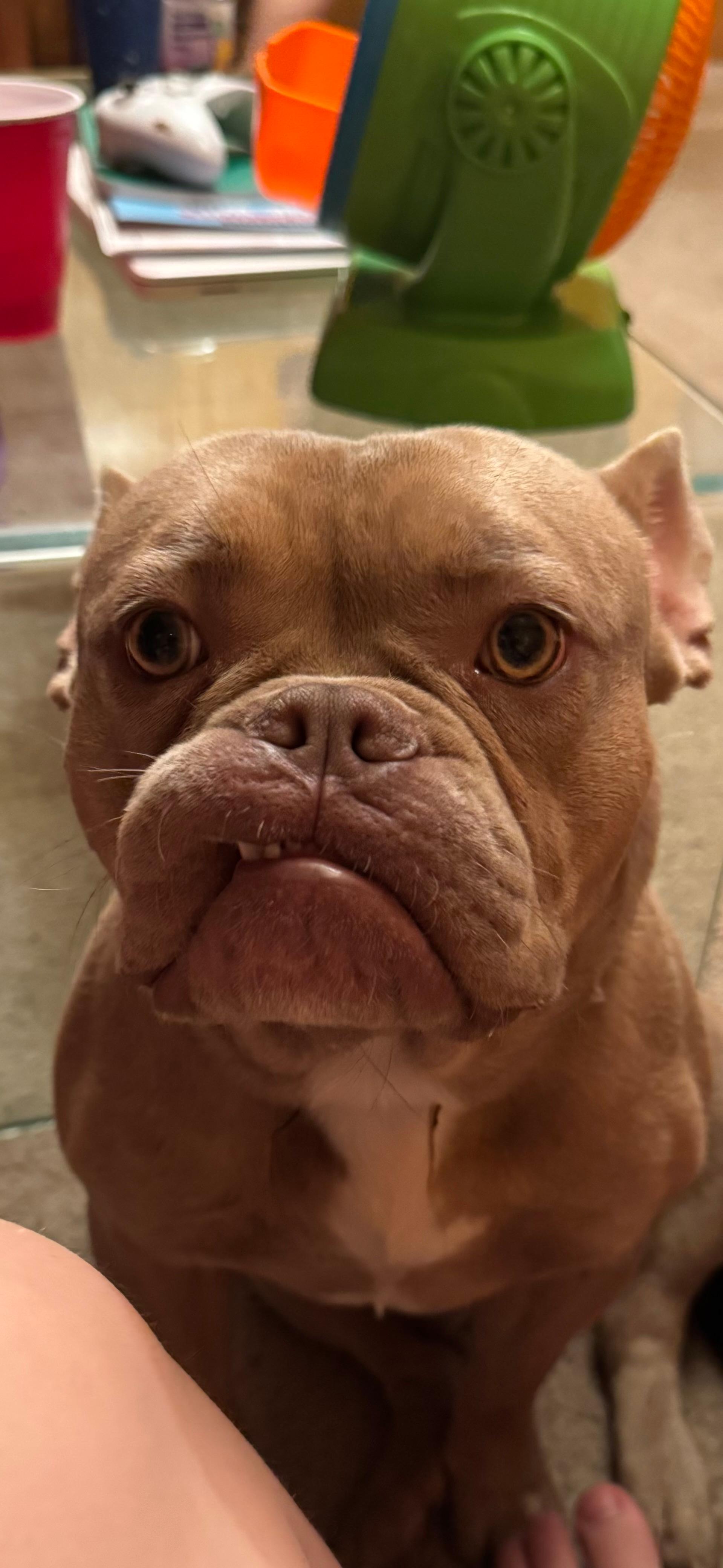 I’m the glock [Kills: 1] Dude I made a story - ibisPaint