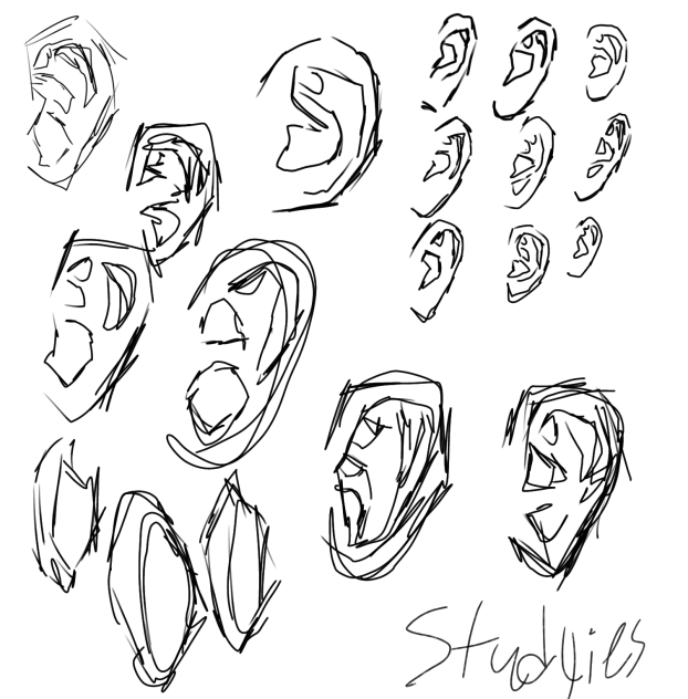 study of ears - ibisPaint
