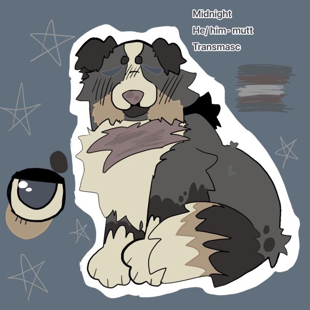 Midnight (oc dog) - ibisPaint