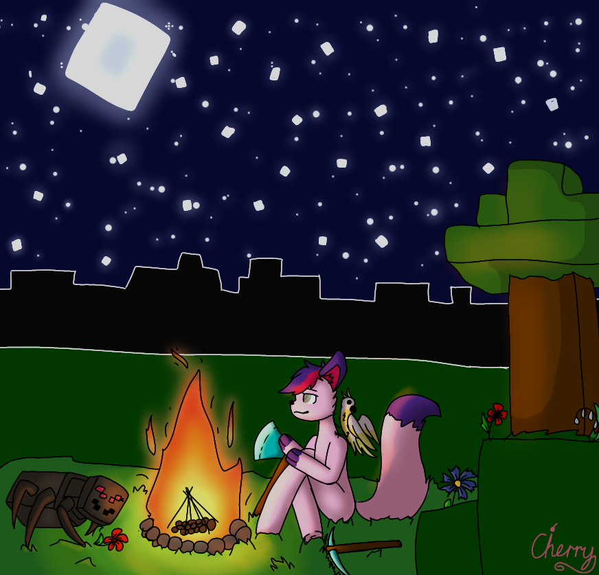 night in minecraft - ibisPaint