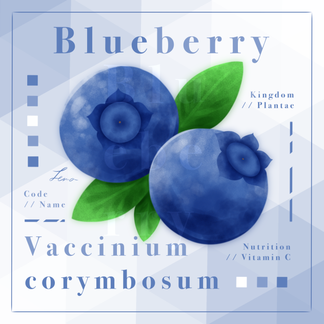 Blueberries - ibisPaint