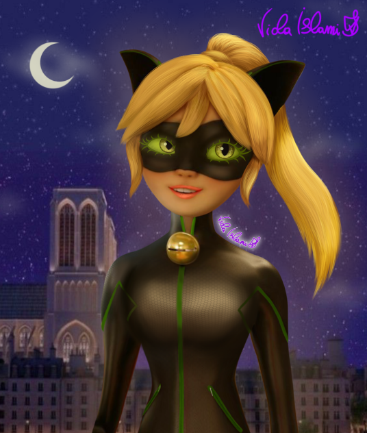 Kitty Noire🐾 - ibisPaint