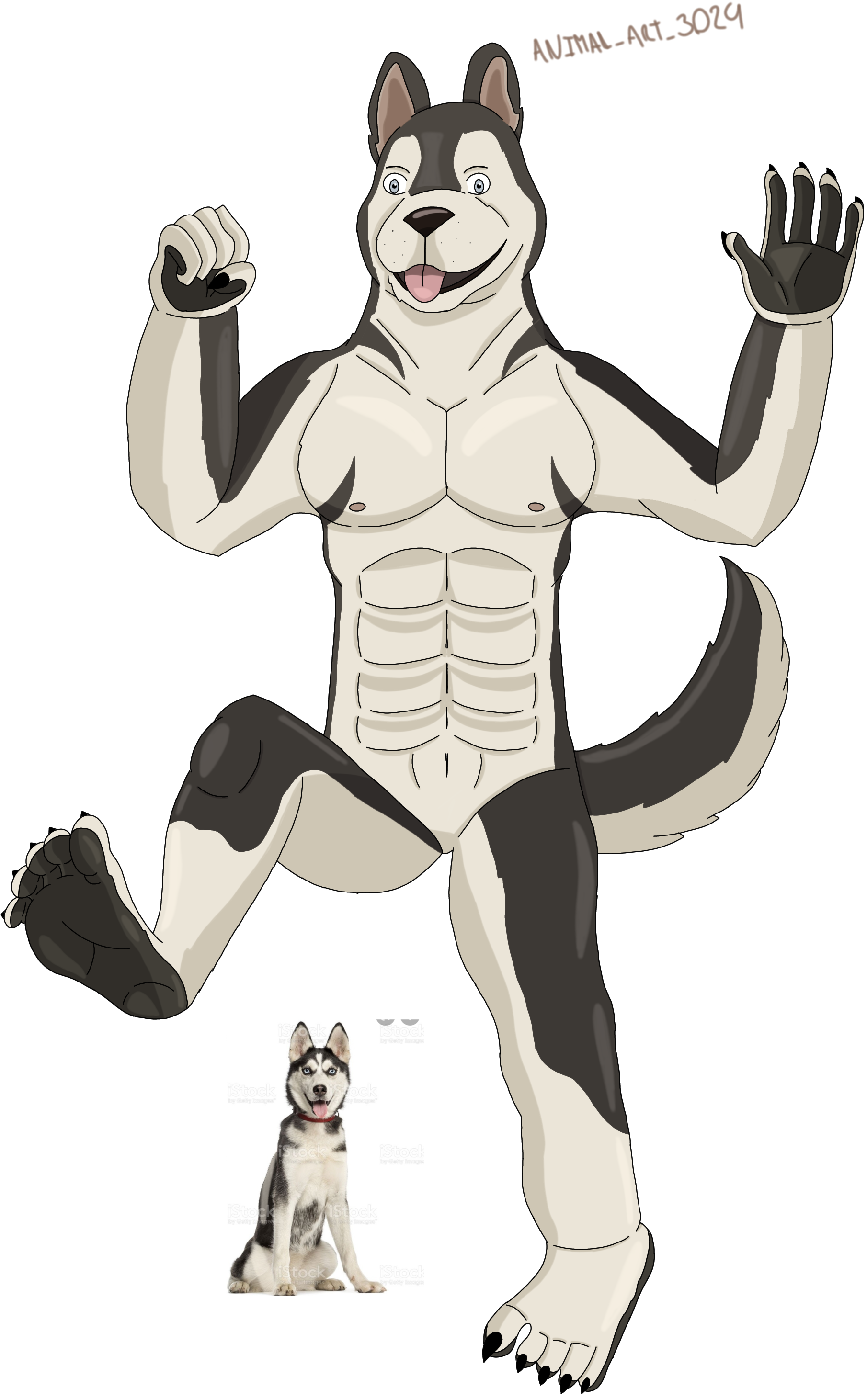 Furry realist Siberian Husky - ibisPaint