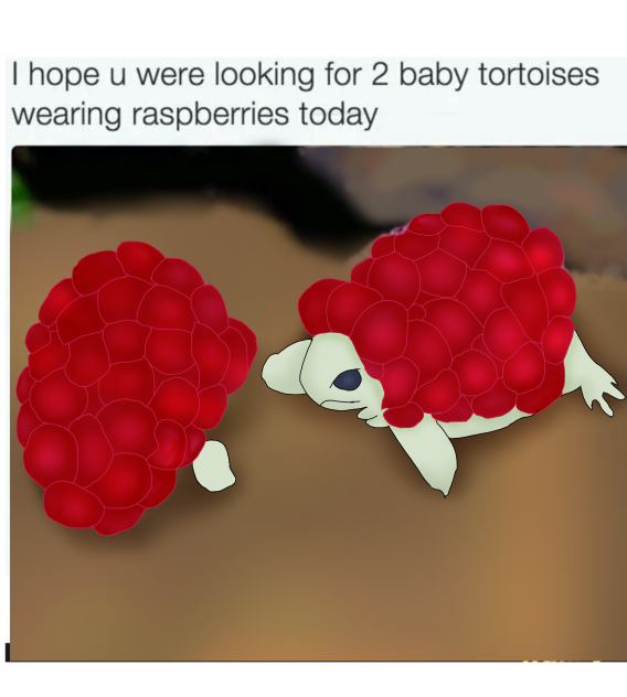 baby tortoise - ibisPaint
