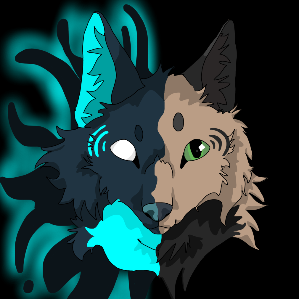 Skylar FA - ibisPaint