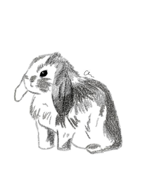 Bunniii WIP - ibisPaint
