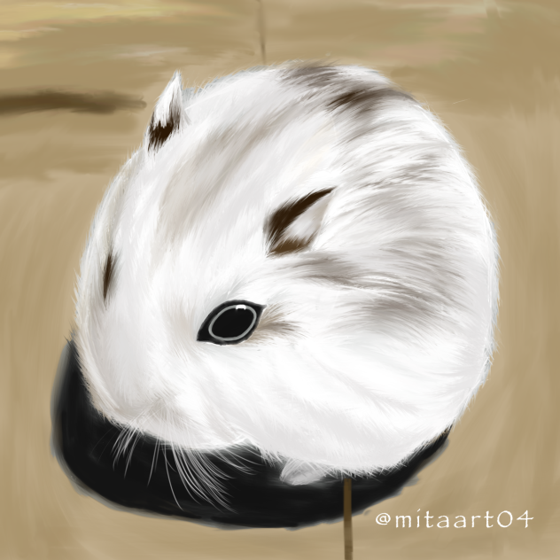 Hamster - ibisPaint