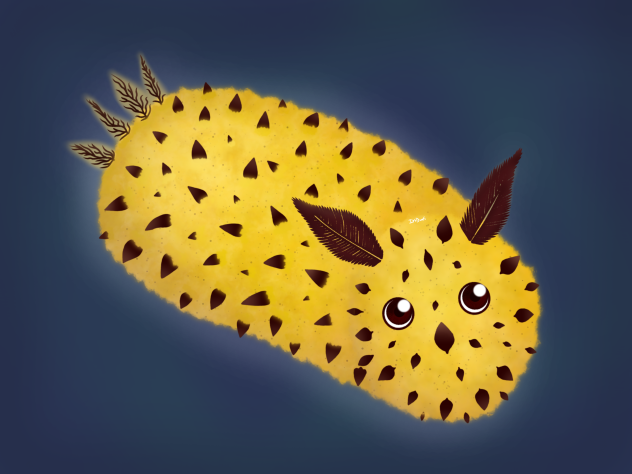 Sea Bunny - ibisPaint