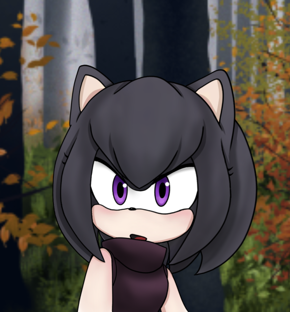 Sonic fc - ibisPaint