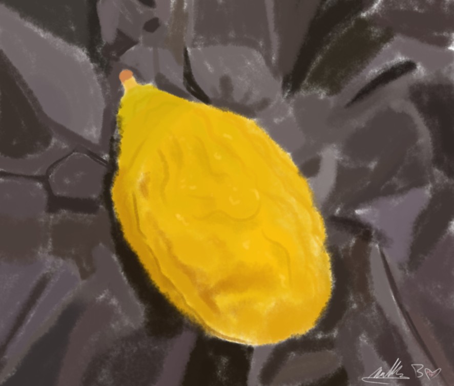 Realism Practice - ibisPaint