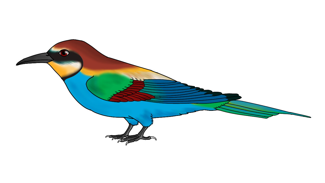 European Bee-eater render - ibisPaint