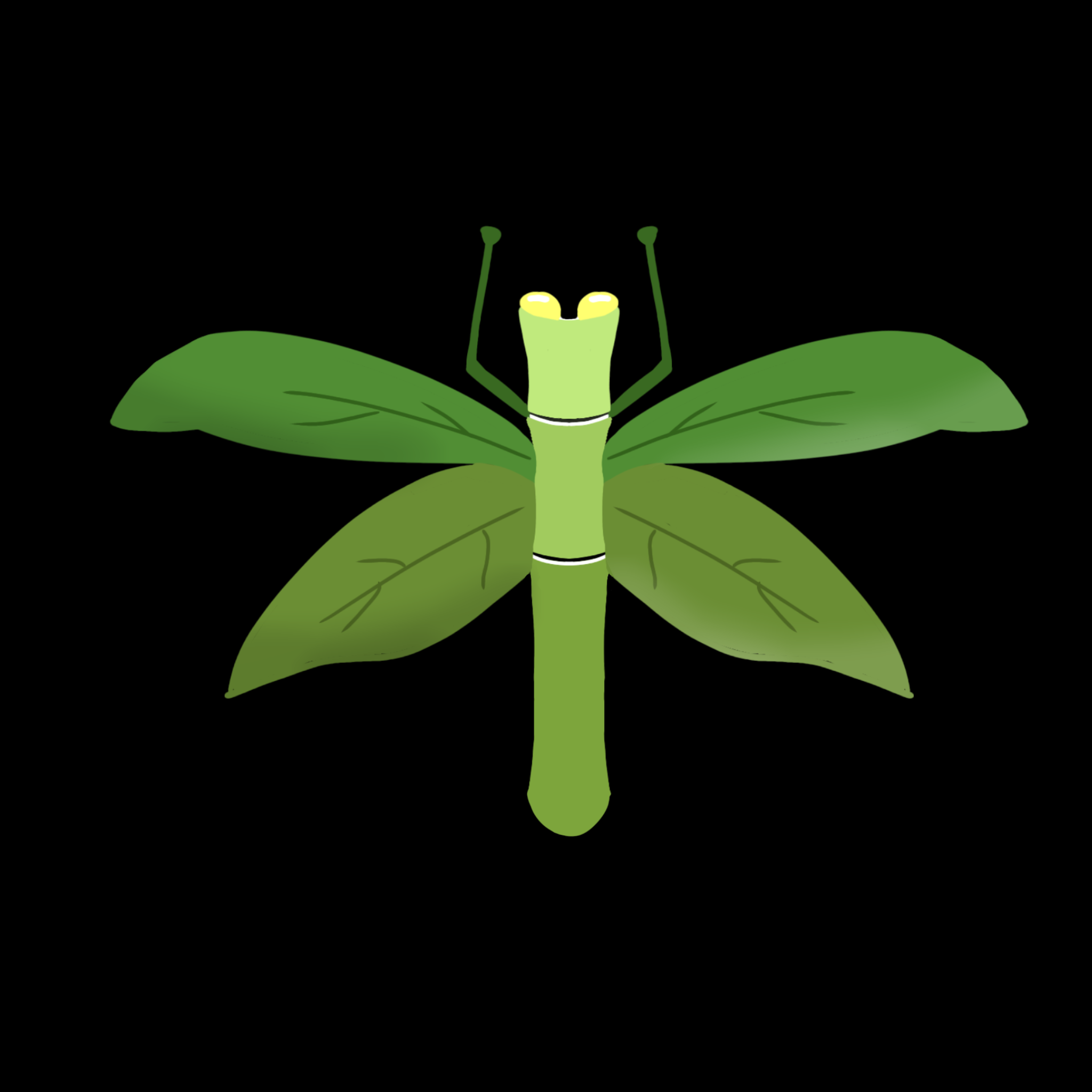 Bamboo dragonfly - ibisPaint