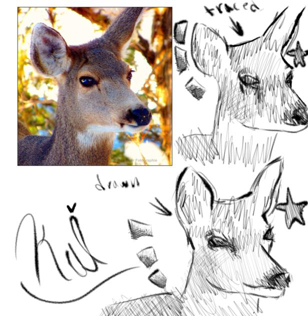 deer practice - ibisPaint