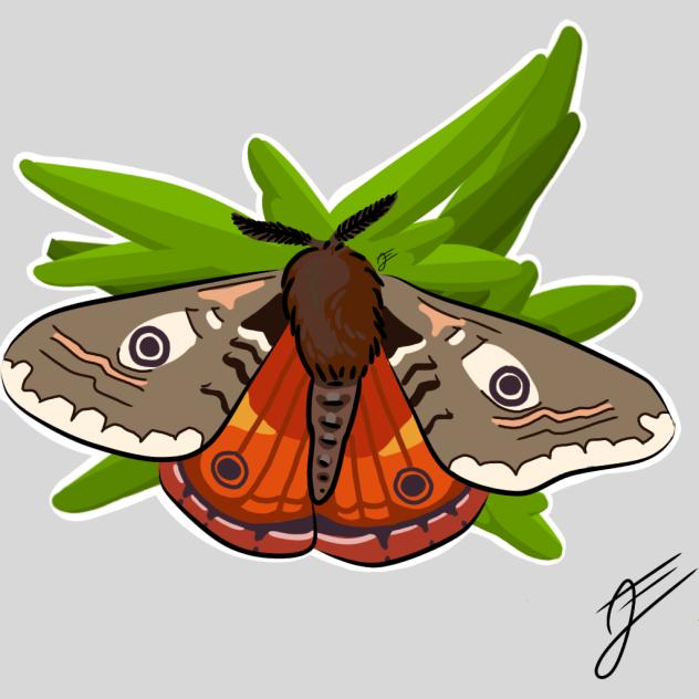 593(Moth) - ibisPaint