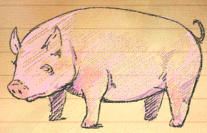 Pig - ibisPaint