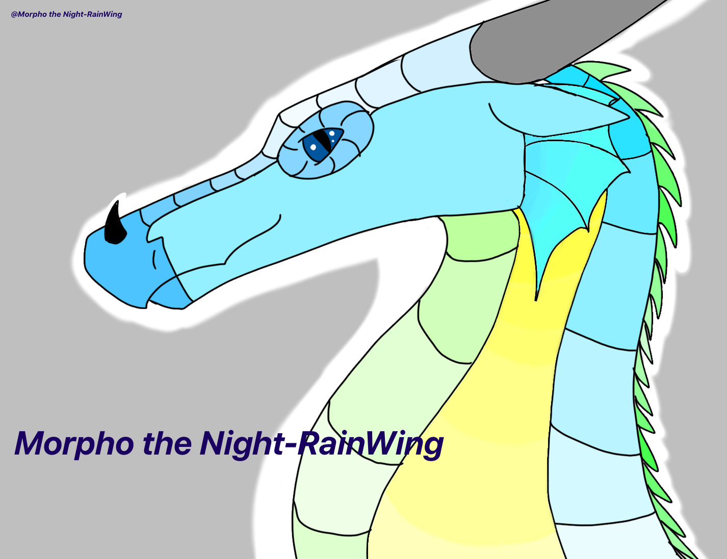 Morpho the Night-RainWing - ibisPaint
