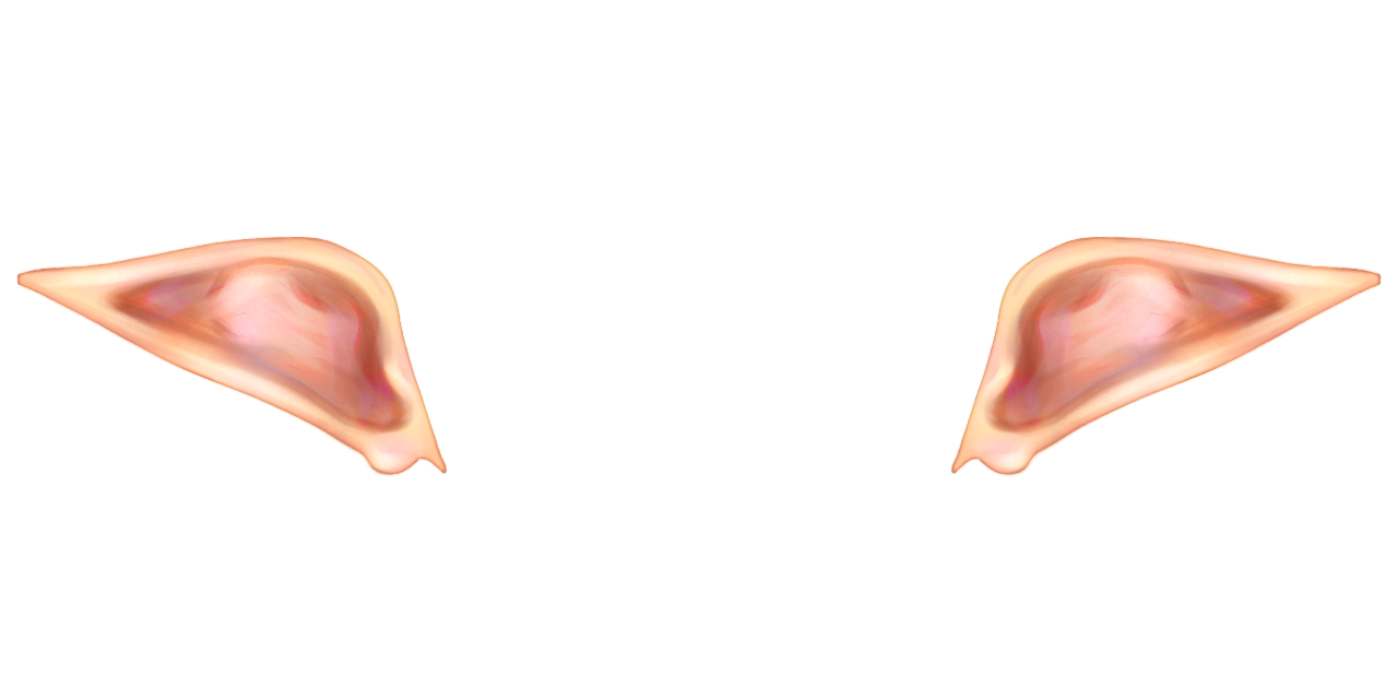 Elf ears - ibisPaint