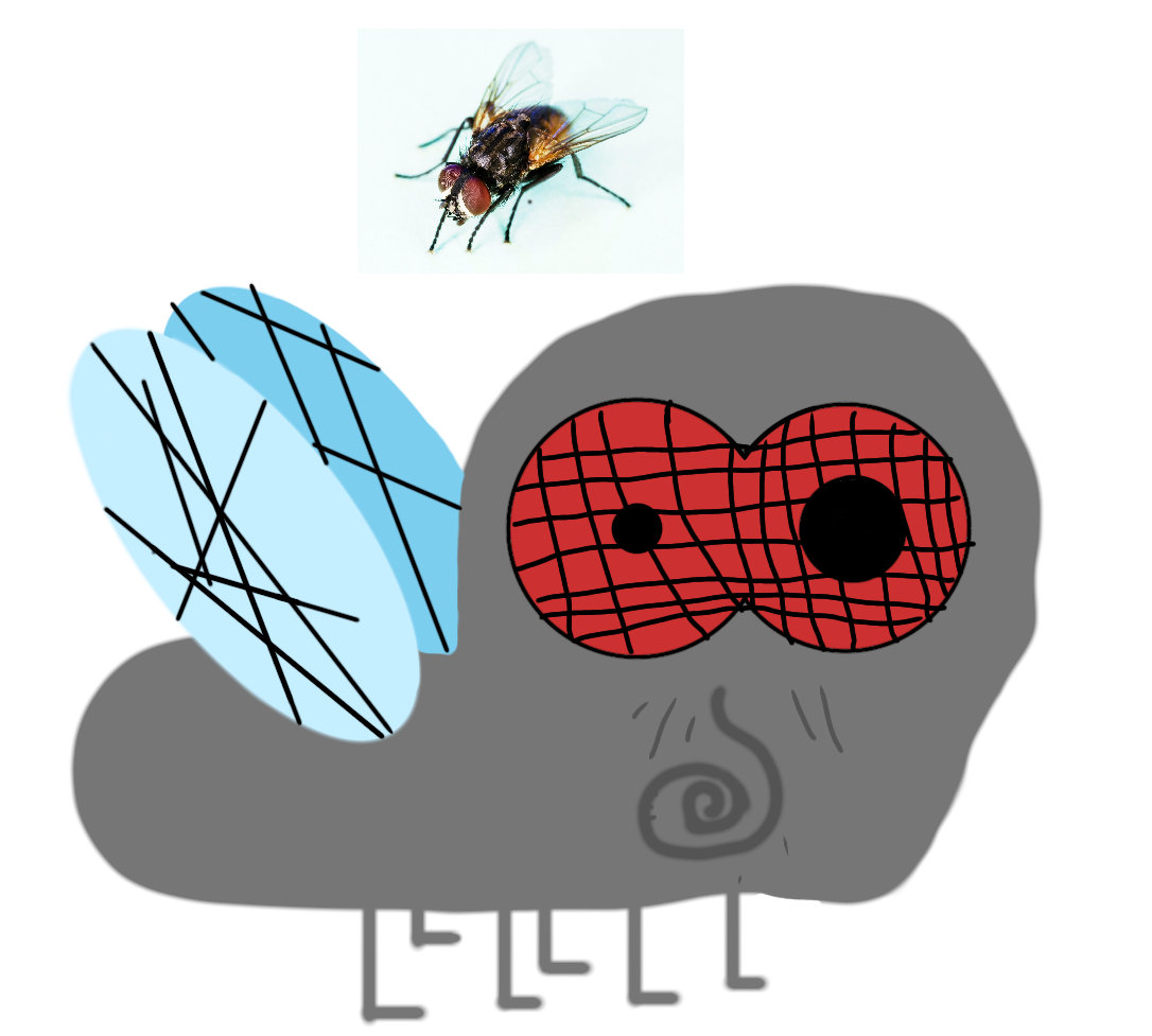 fly high fly - ibisPaint