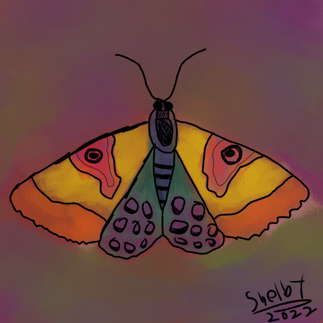 Moth - ibisPaint