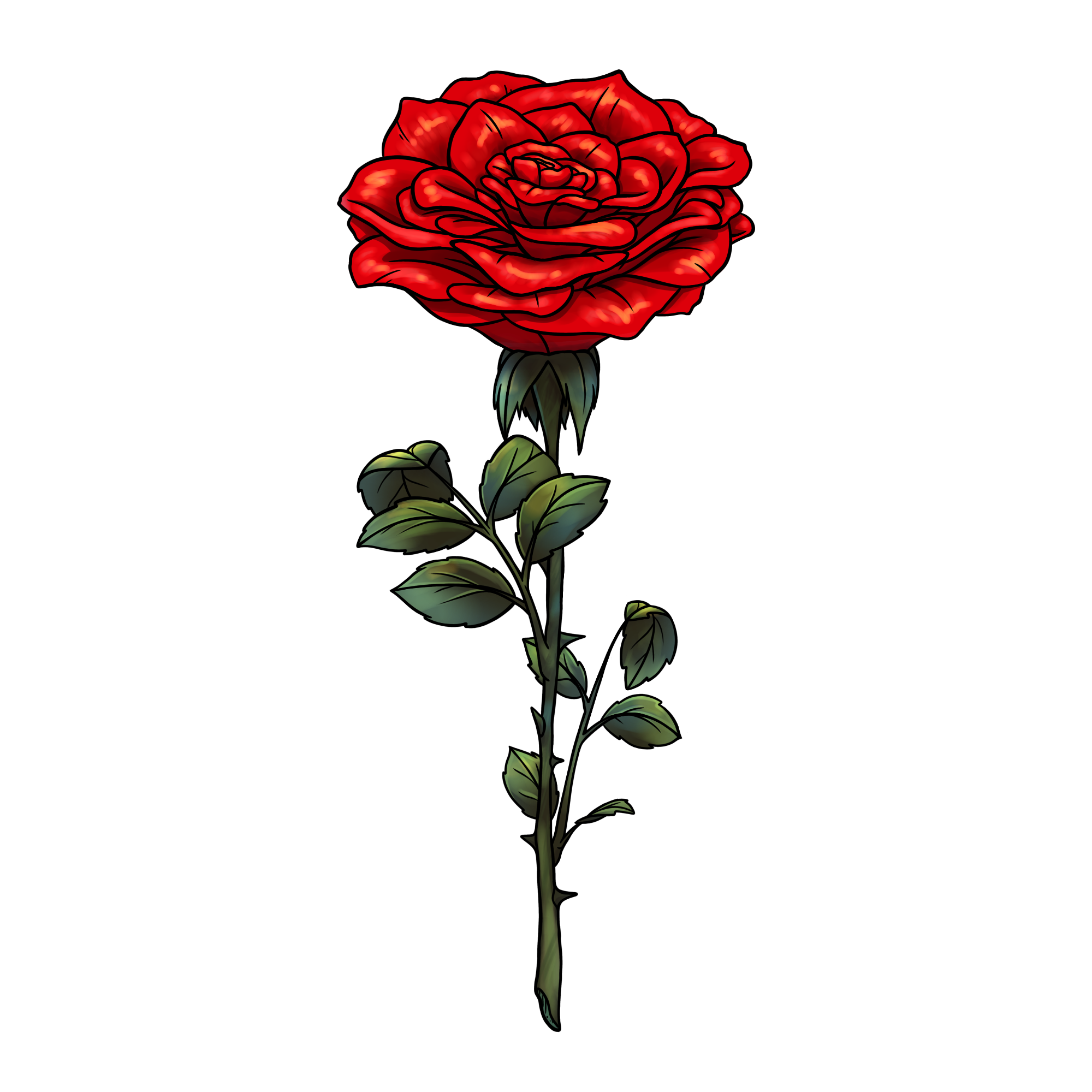 red rose - ibisPaint