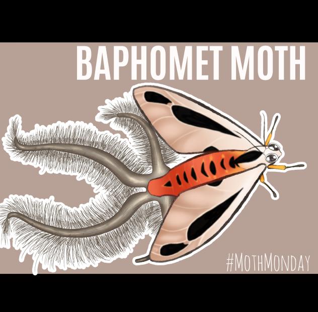 Moth Monday #8 - ibisPaint