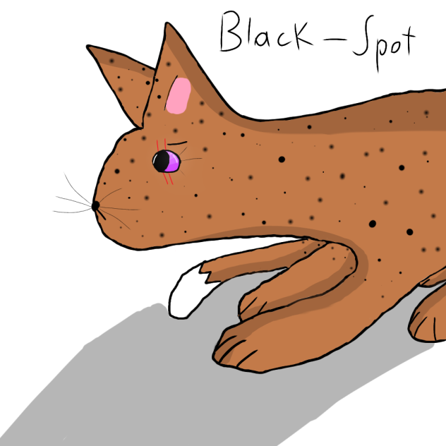 Black-Spot the Warrior Cat - ibisPaint