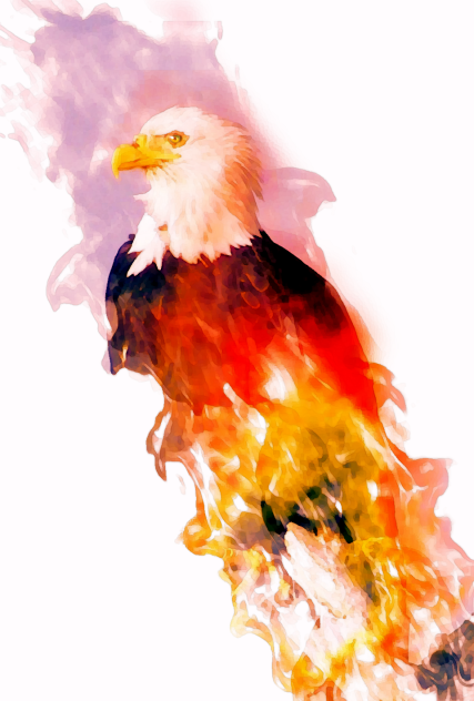 Phoenix eagle - ibisPaint