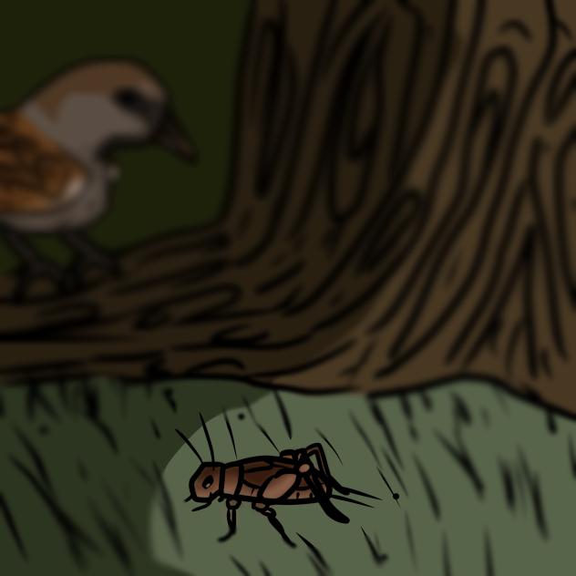 sparrow & cricket - ibisPaint
