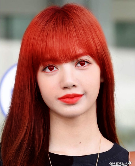 Lisa as fire🔥queen - ibisPaint