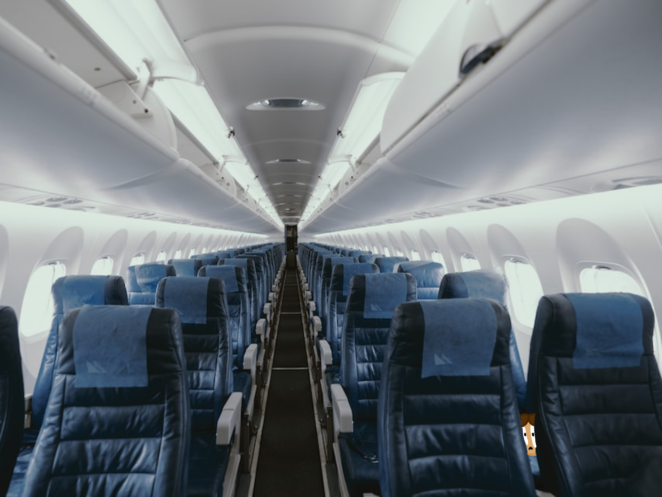 Airplane colab - ibisPaint