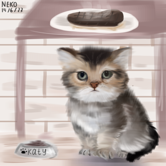 Kitty STARE - ibisPaint