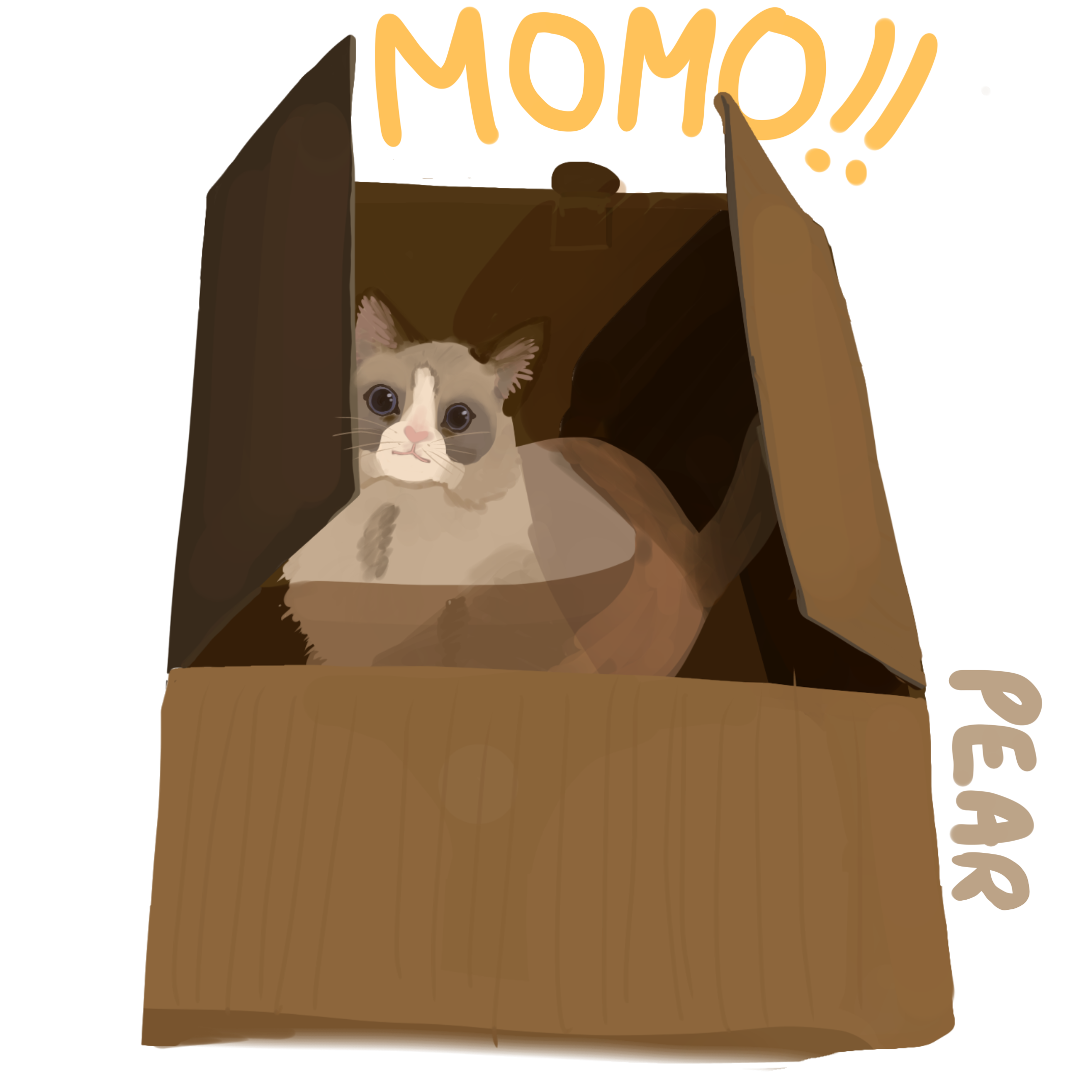 Momo!! - ibisPaint