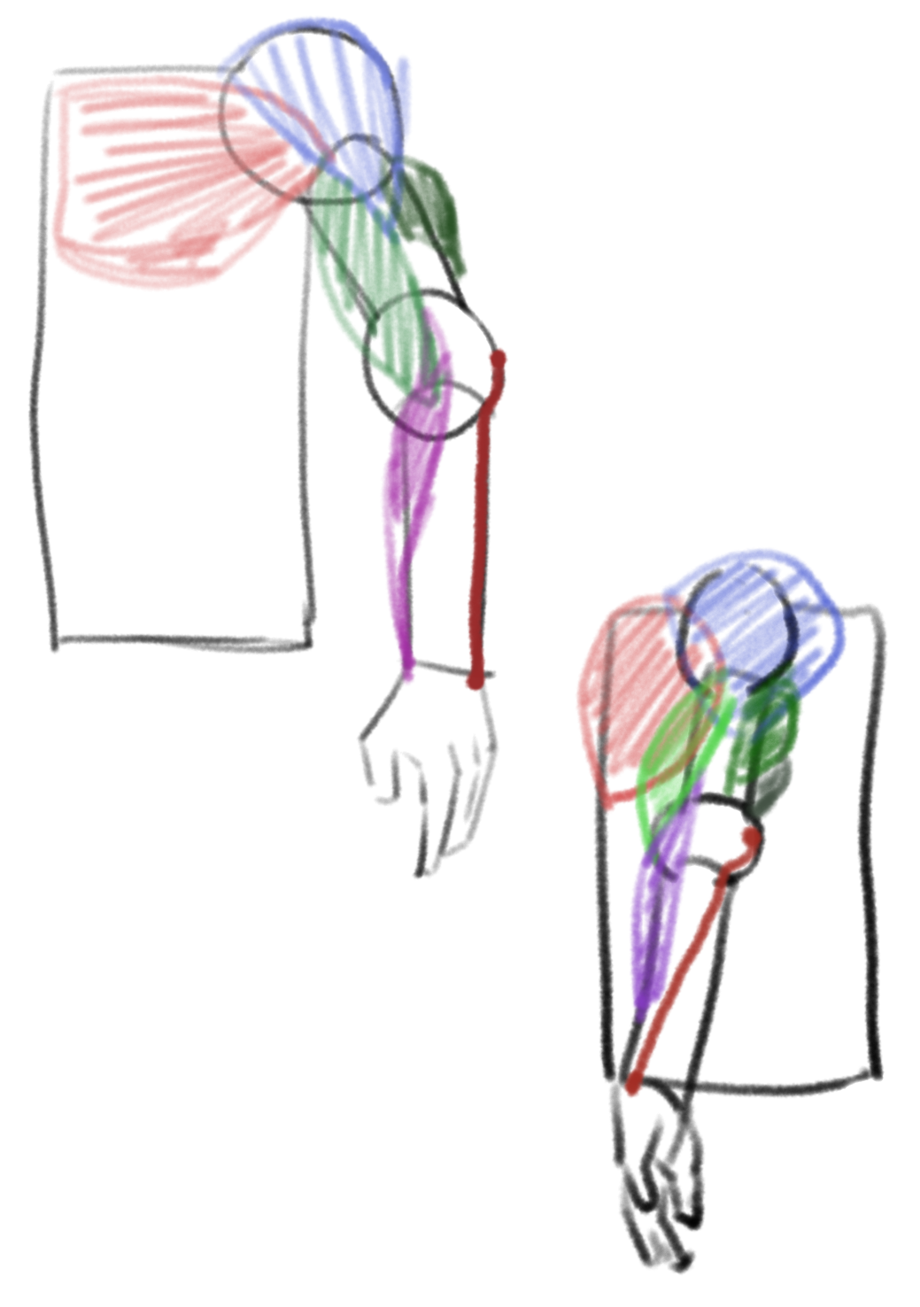 kind draw study 11.22 - ibisPaint