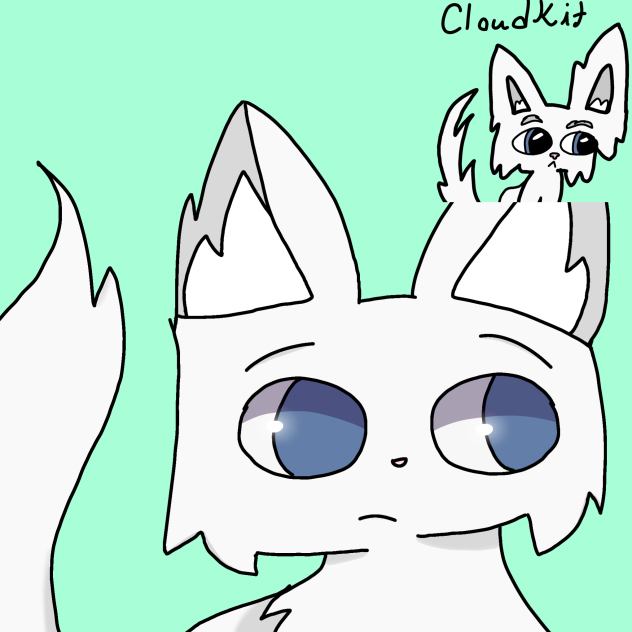 Cloudkit redraw - ibisPaint