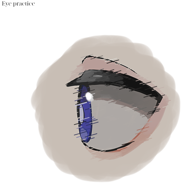 eye practice - ibisPaint
