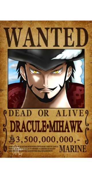 wanted bounty - ibisPaint