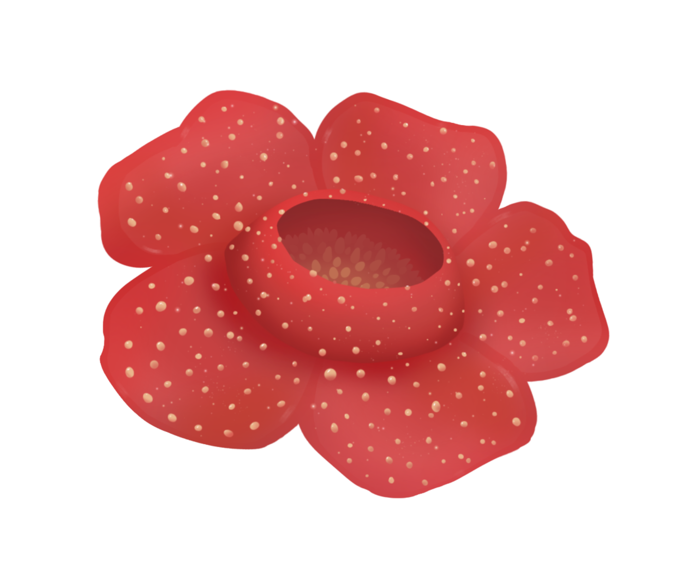 大王花(rafflesia) - ibisPaint