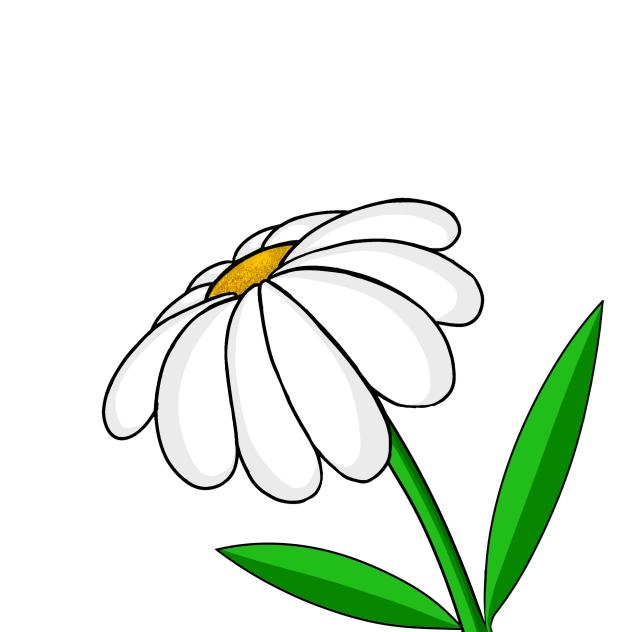 a white flower - ibisPaint