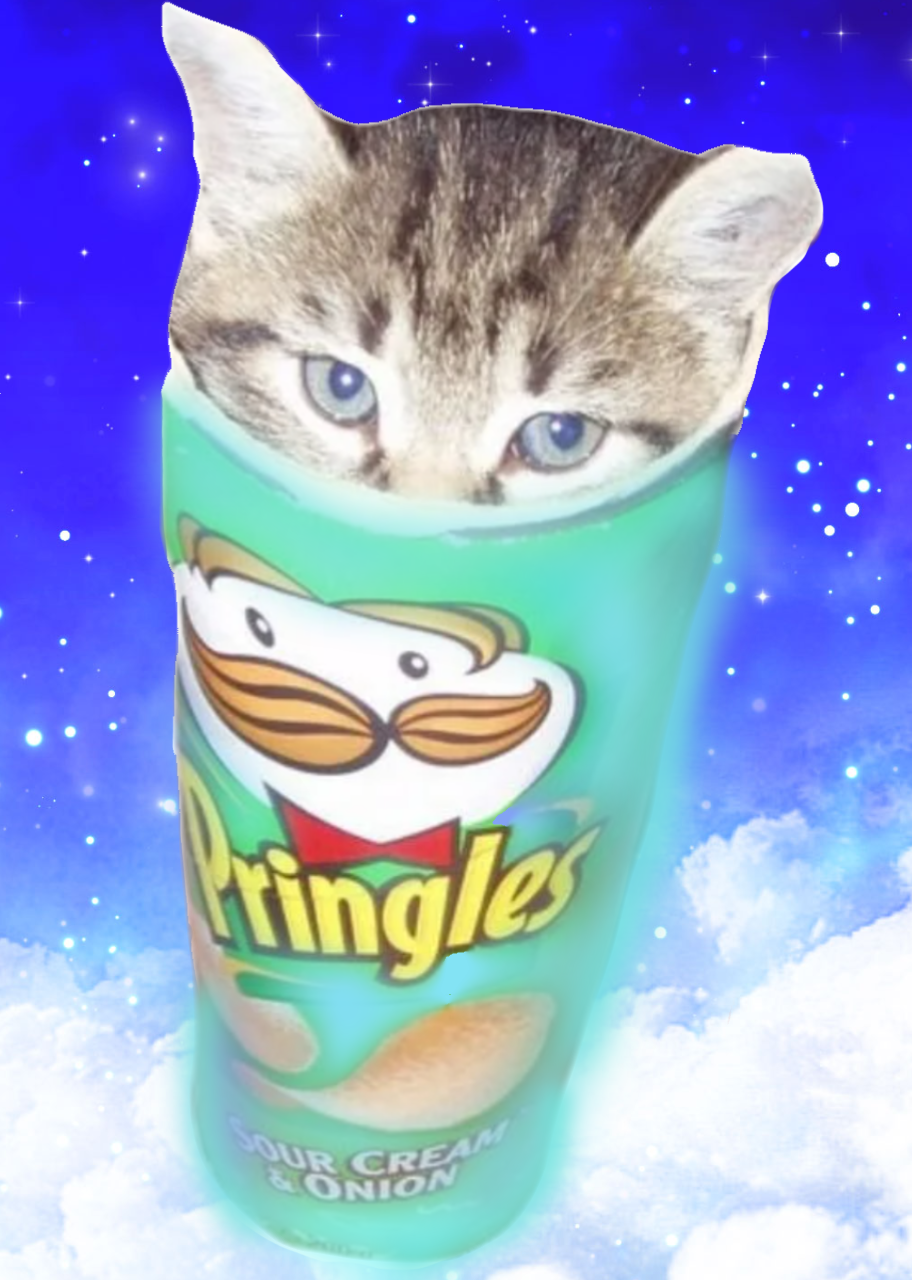 Sponcerd by Pringles - ibisPaint