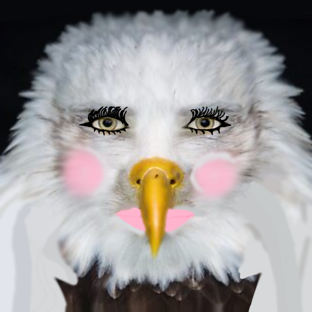 woman eagle - ibisPaint